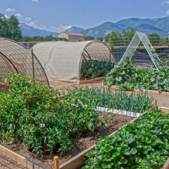 Facility Management – Al Moallam