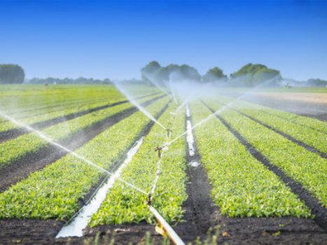 Facility Management – Al Moallam